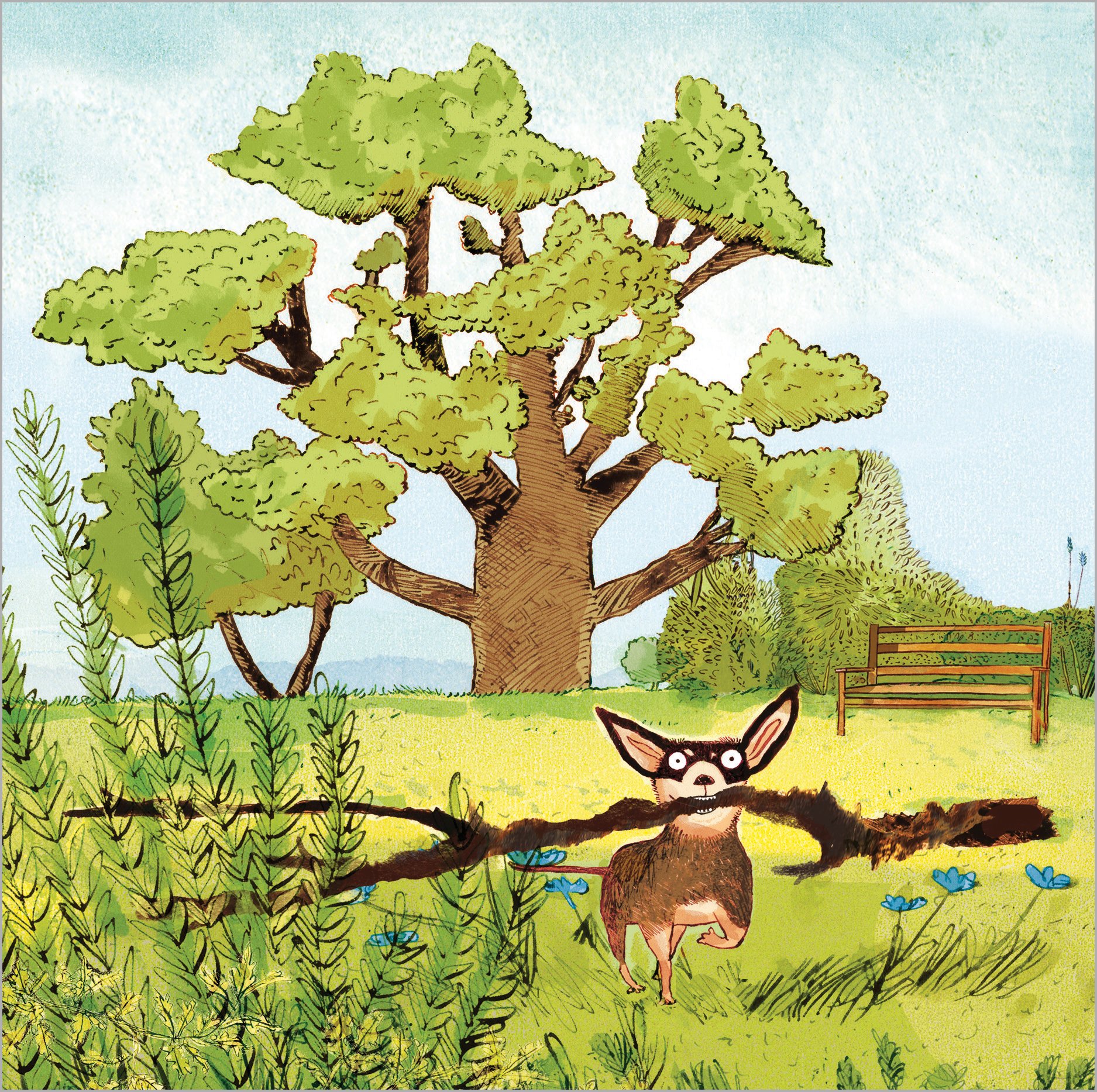 Contemporary : Woodmansterne Publications Ltd