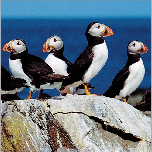 Photography : Woodmansterne Publications Ltd