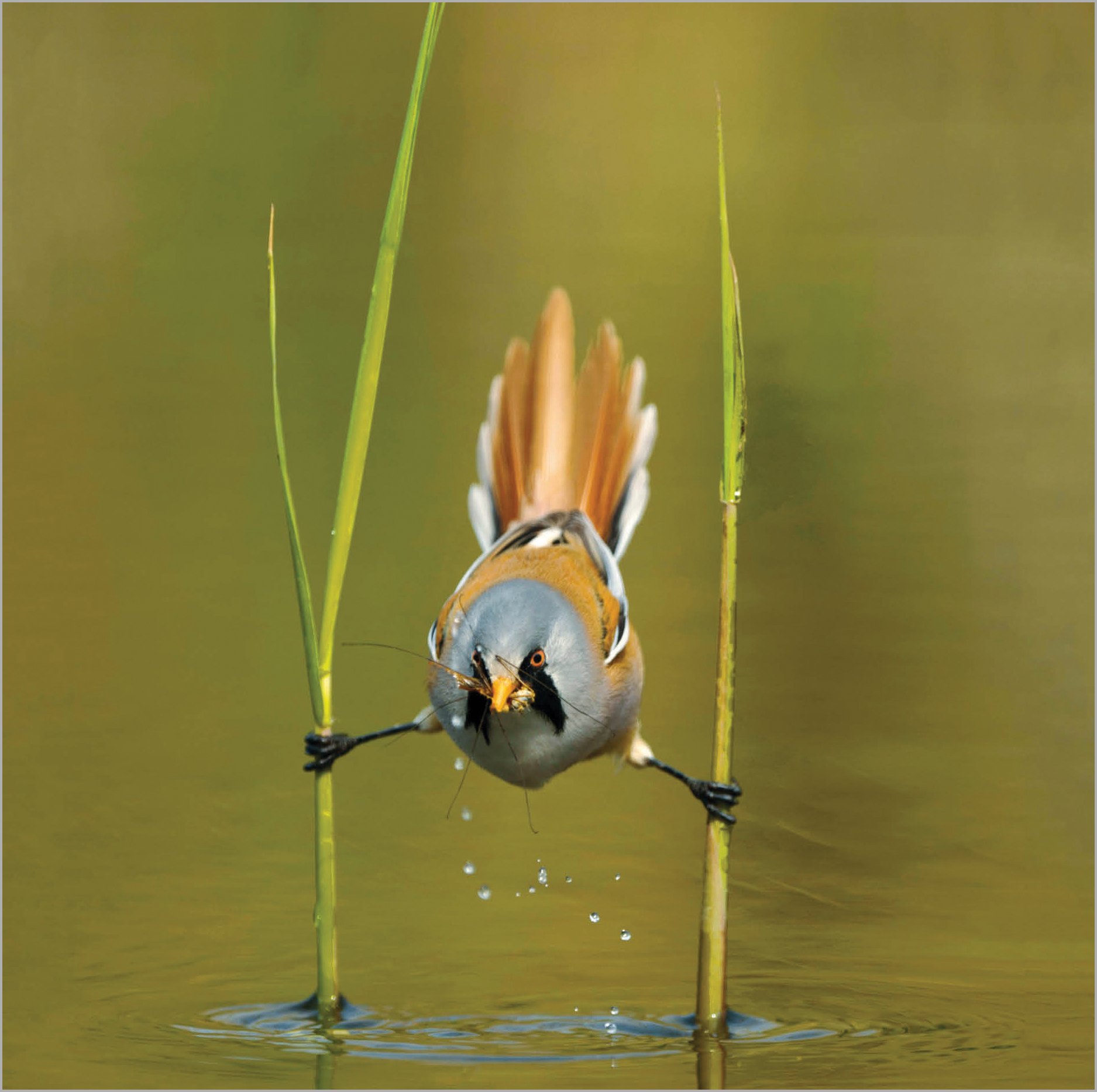 Photography : Woodmansterne Publications Ltd