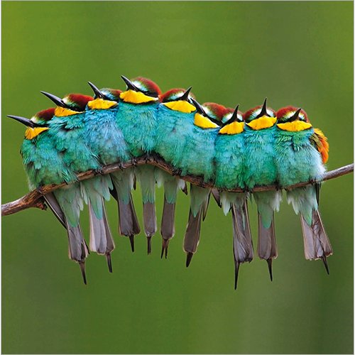 Photography : Woodmansterne Publications Ltd